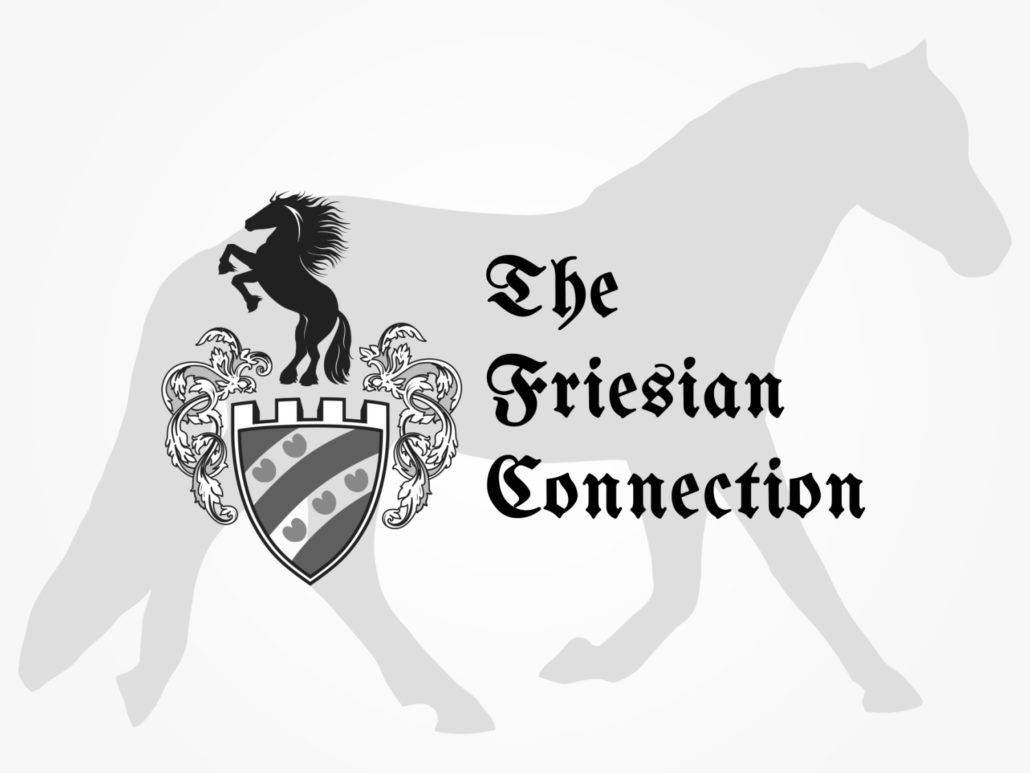 Friesian Connection