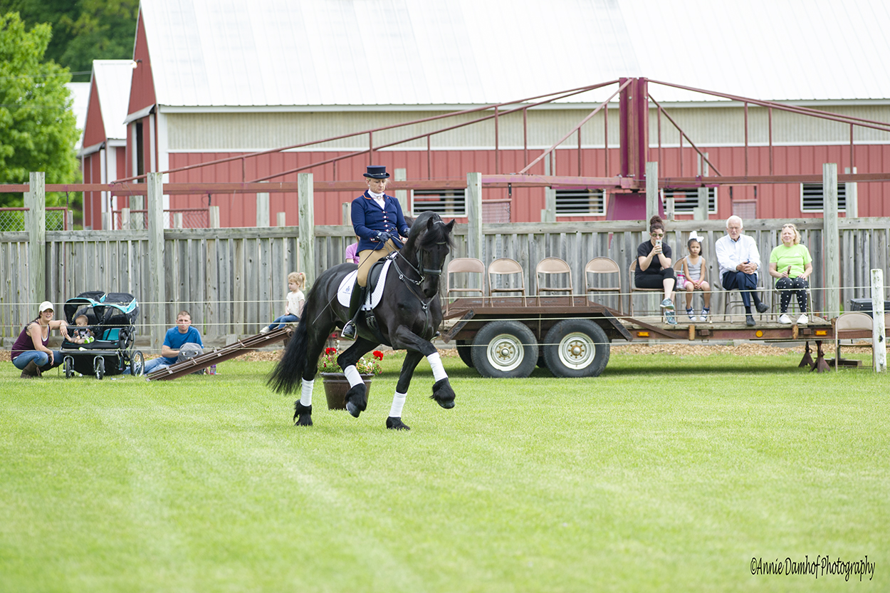 Hessel 480 Sport | Friesian Connection