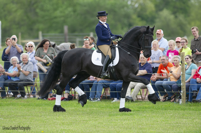 Hessel 480 Sport | Friesian Connection